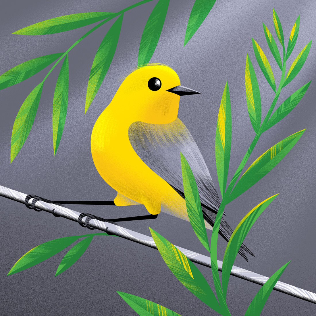 Illustration portfolio of freelance illustrator Cat Finnie